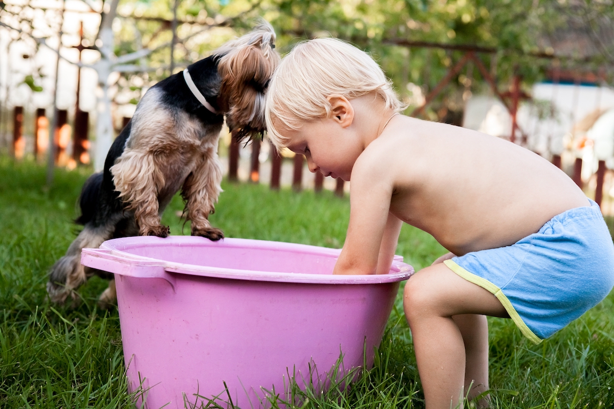 Dog Waste Removal in Broken Arrow, OK | The Poop Fairy - The Poop Fairy ...